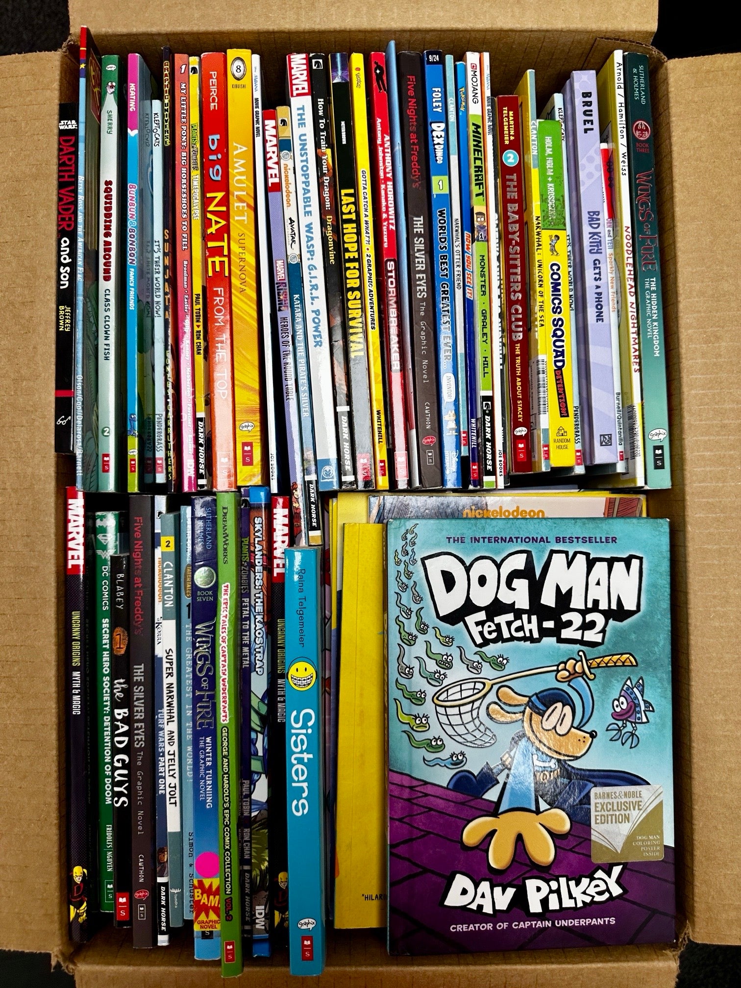 Graphic Novel Book Box (ages 8-11) – TheBookBundler