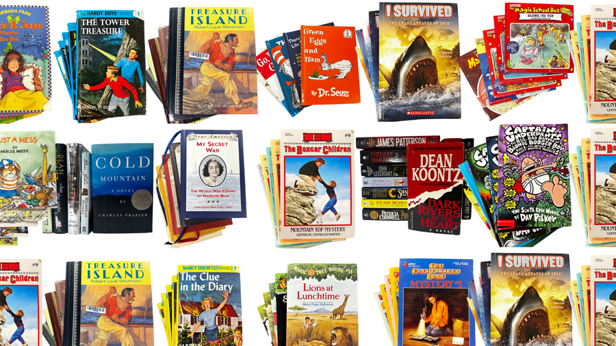 Bulk used books, kids books and book bundles for less - TheBookBundler
