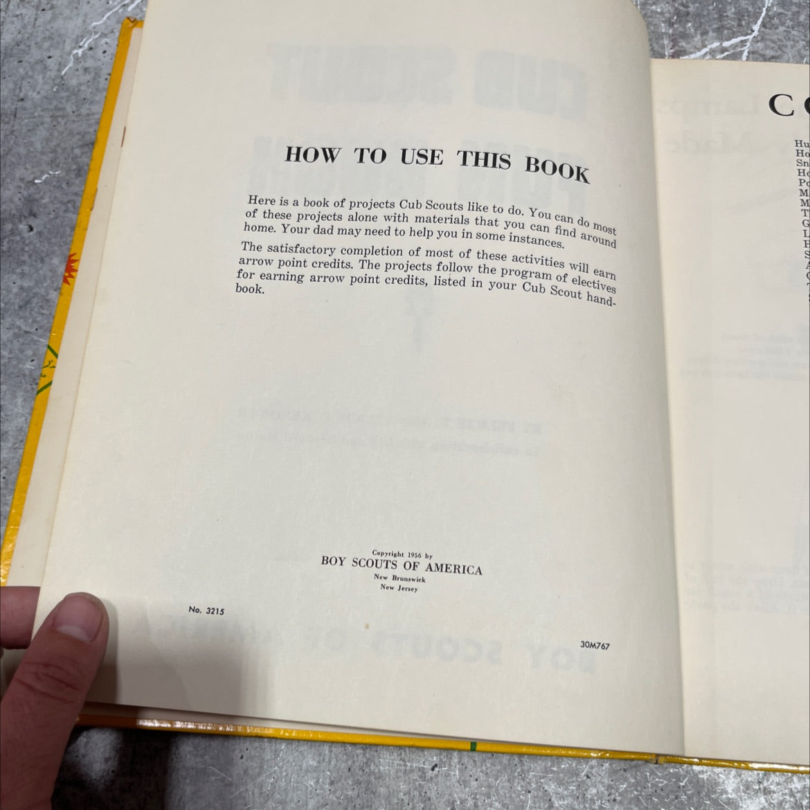 cub scout fun book book, by felicie t. kenower, felicie c. kenower, bi ...