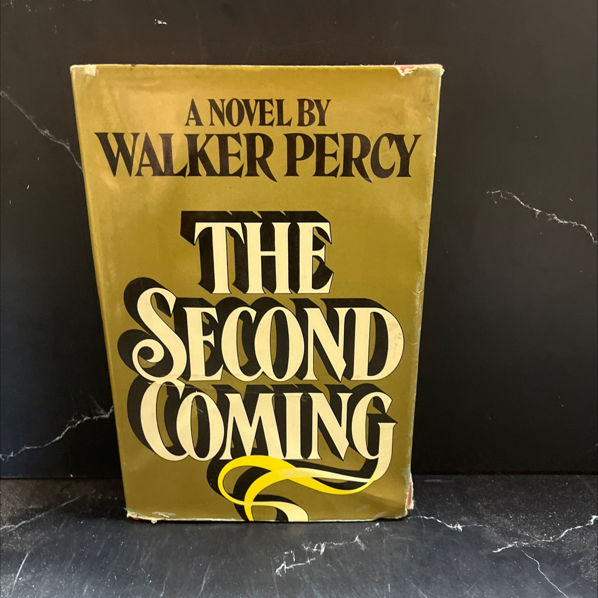 the second coming book, by walker percy, 1980 Hardcover – TheBookBundler
