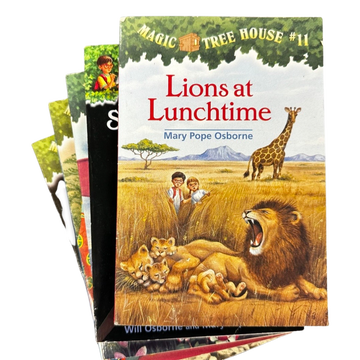 Bestselling Book bundles – TheBookBundler