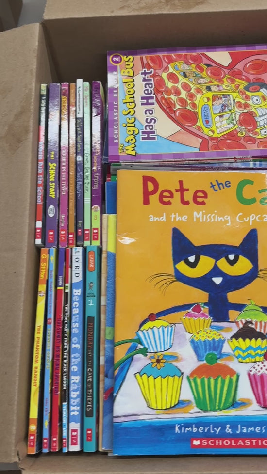 Learning to Read book box (ages 6-9) – TheBookBundler