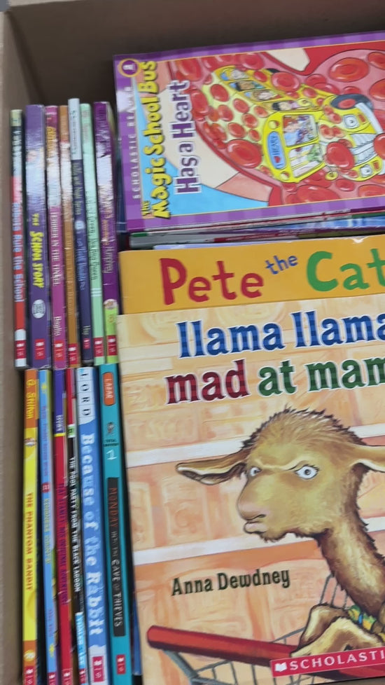 Learning to Read book box (ages 6-9) – TheBookBundler