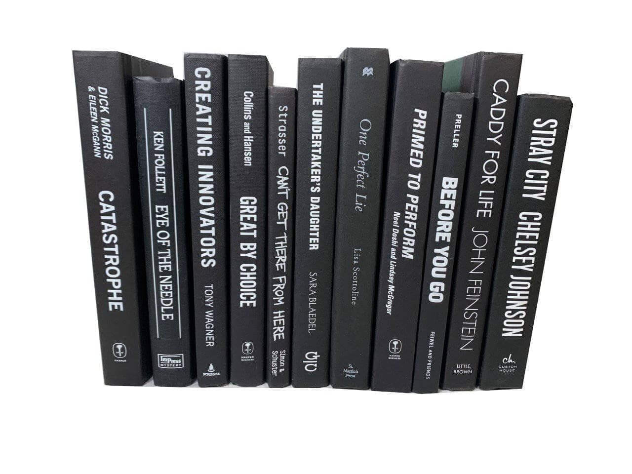 Modern Black Books with Color Accents | Decorative Books by Color | By