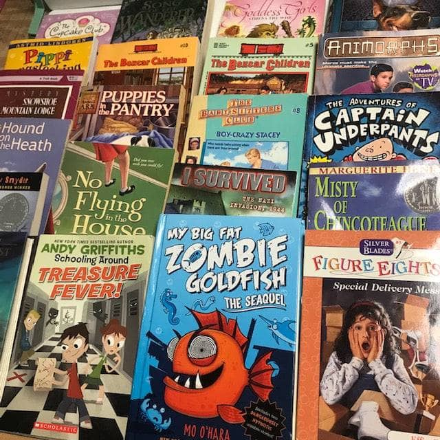 Kids Chapter Book Box - 50 books $45 – TheBookBundler